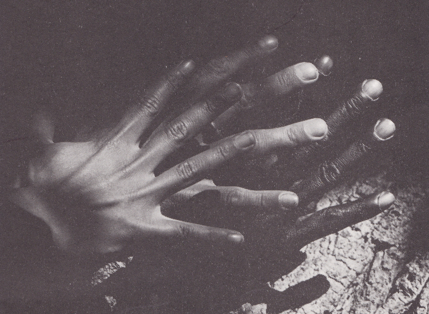 Exploring The Stunning Sounds of Late 80's Swiss Group BLACK CITRON ...